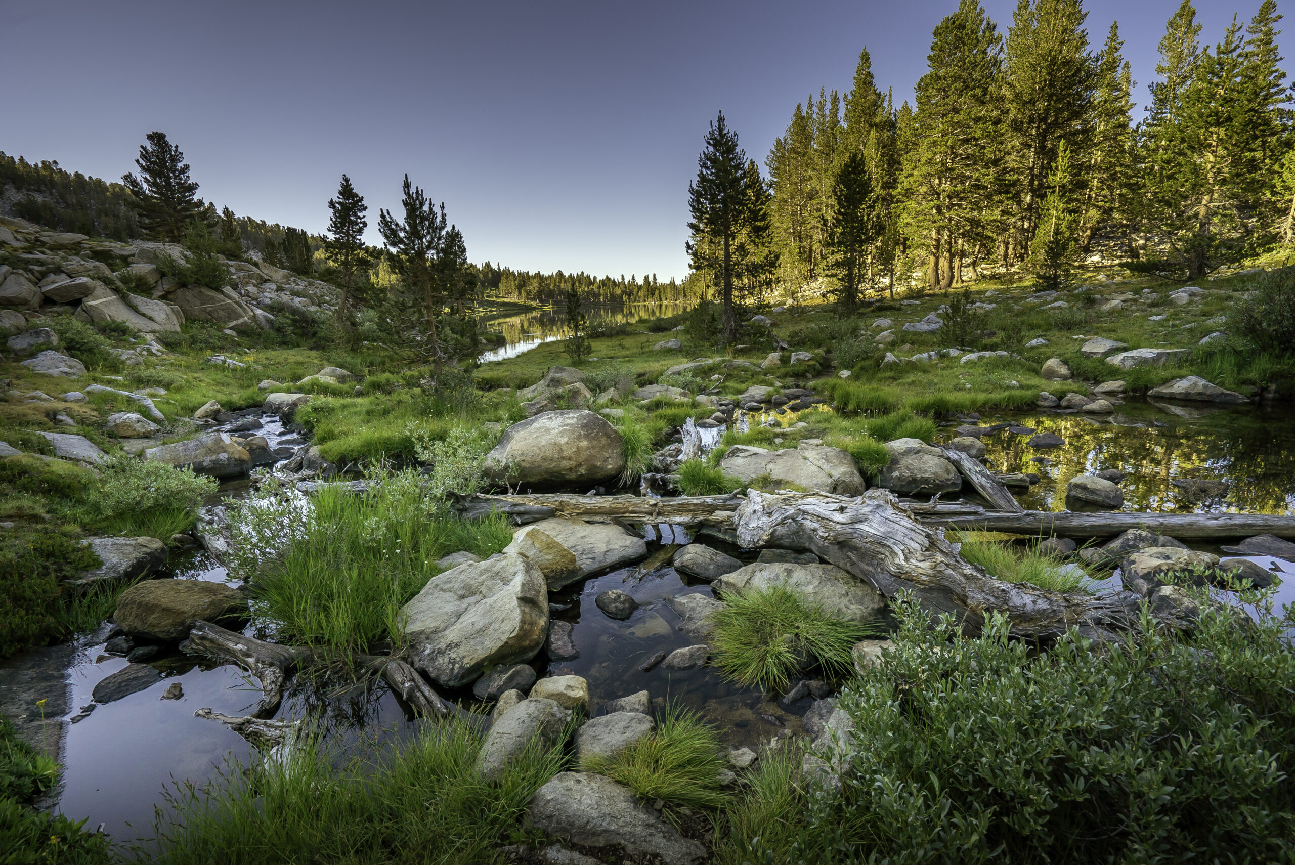 Sallie Keys Lake – Telepathic Stuntman